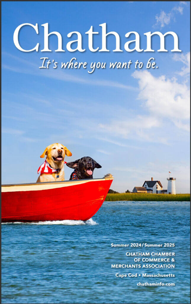 Cape Cod Baseball League: Schedule, Times & Internships